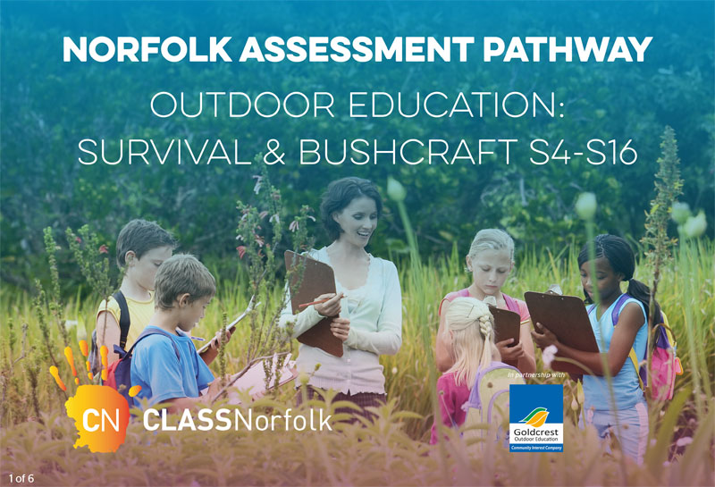 NAPS Downloads – Norfolk Assessment Pathway